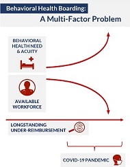 Capturing a Crisis: MHA’s Weekly Behavioral Health Boarding Reports
